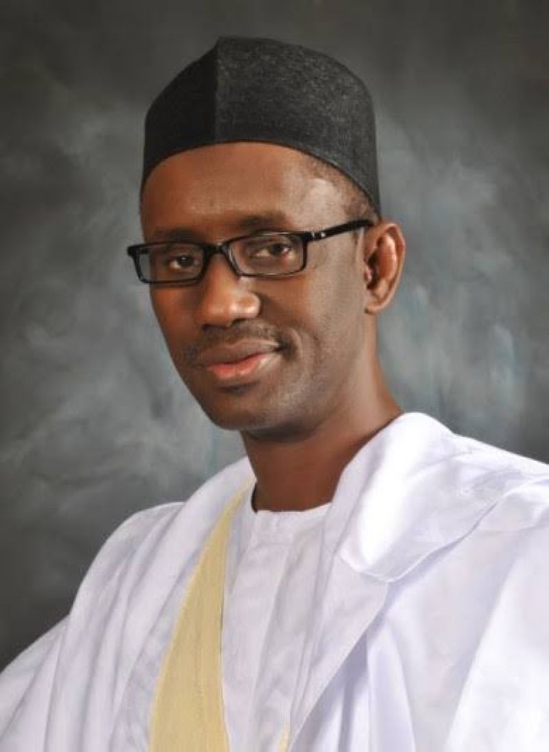 President Tinubu names Dele Aleke, Nuhu Ribadu, Wale Edun, others as ...