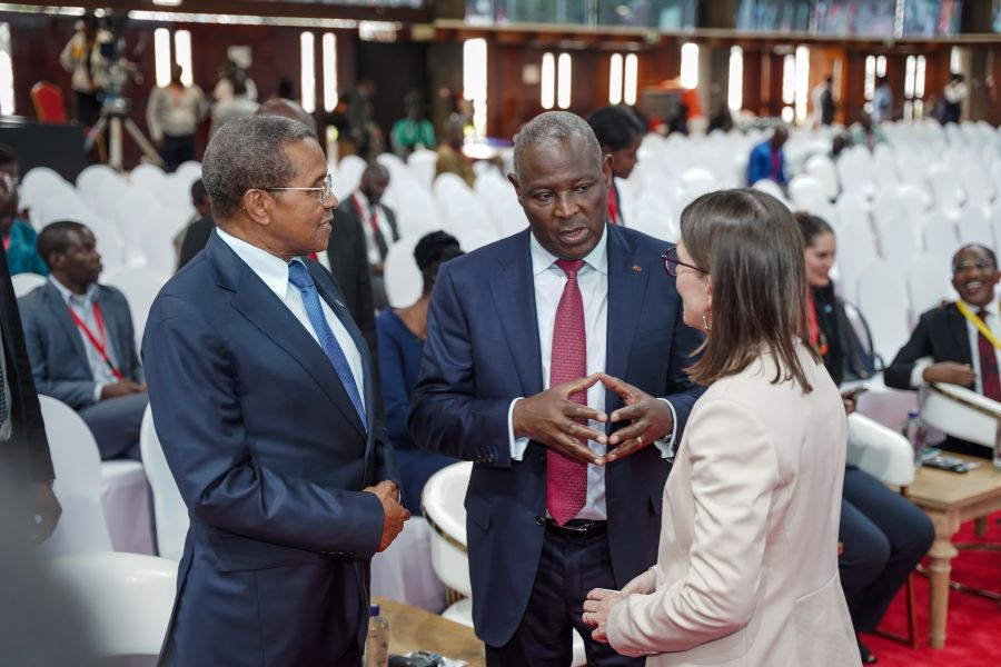 AfDB Group 2024 Annual Meetings| African nations urged to attract ...